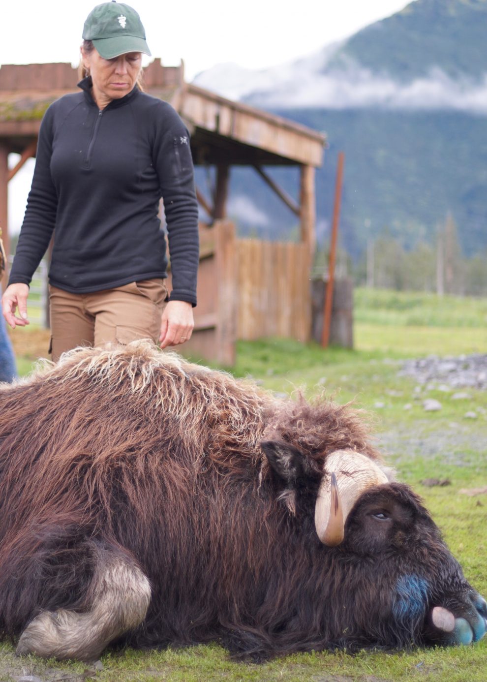 Woman Of The Wild: National Geographic's Dr. Michelle Oakley On ...